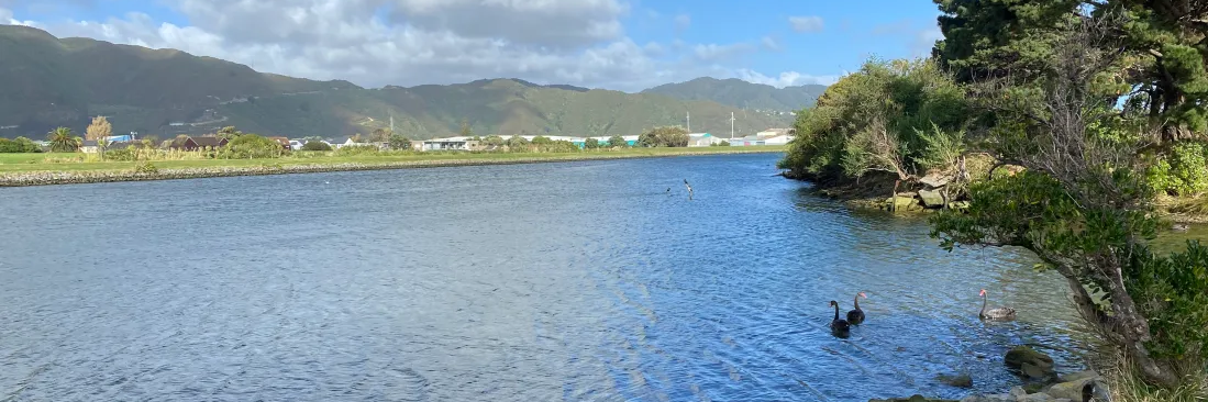 Hutt Marathon